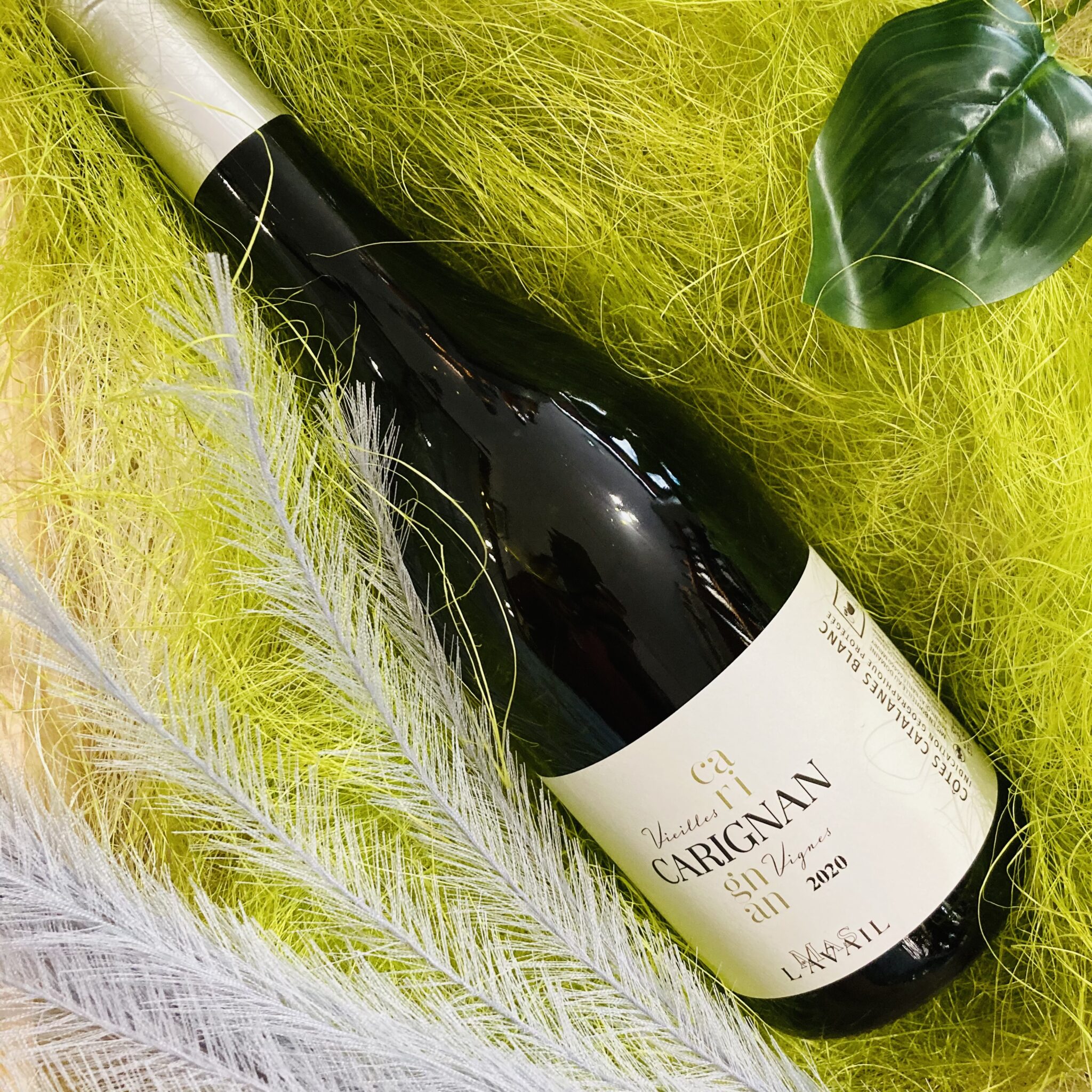 Carignan Vieilles Vignes Blanc - Pince Monnereau